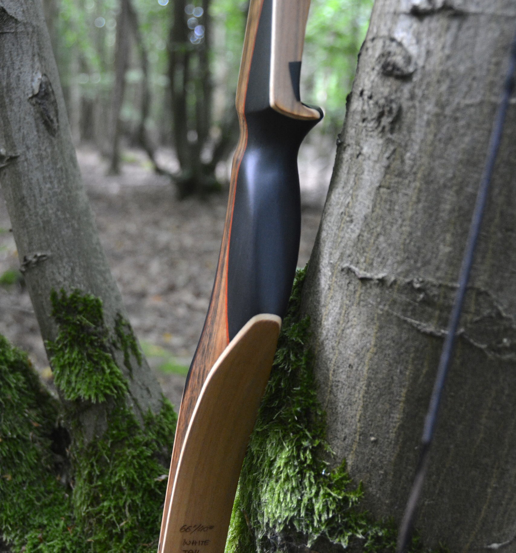 Ragim Whitetail longbow review - Bow International